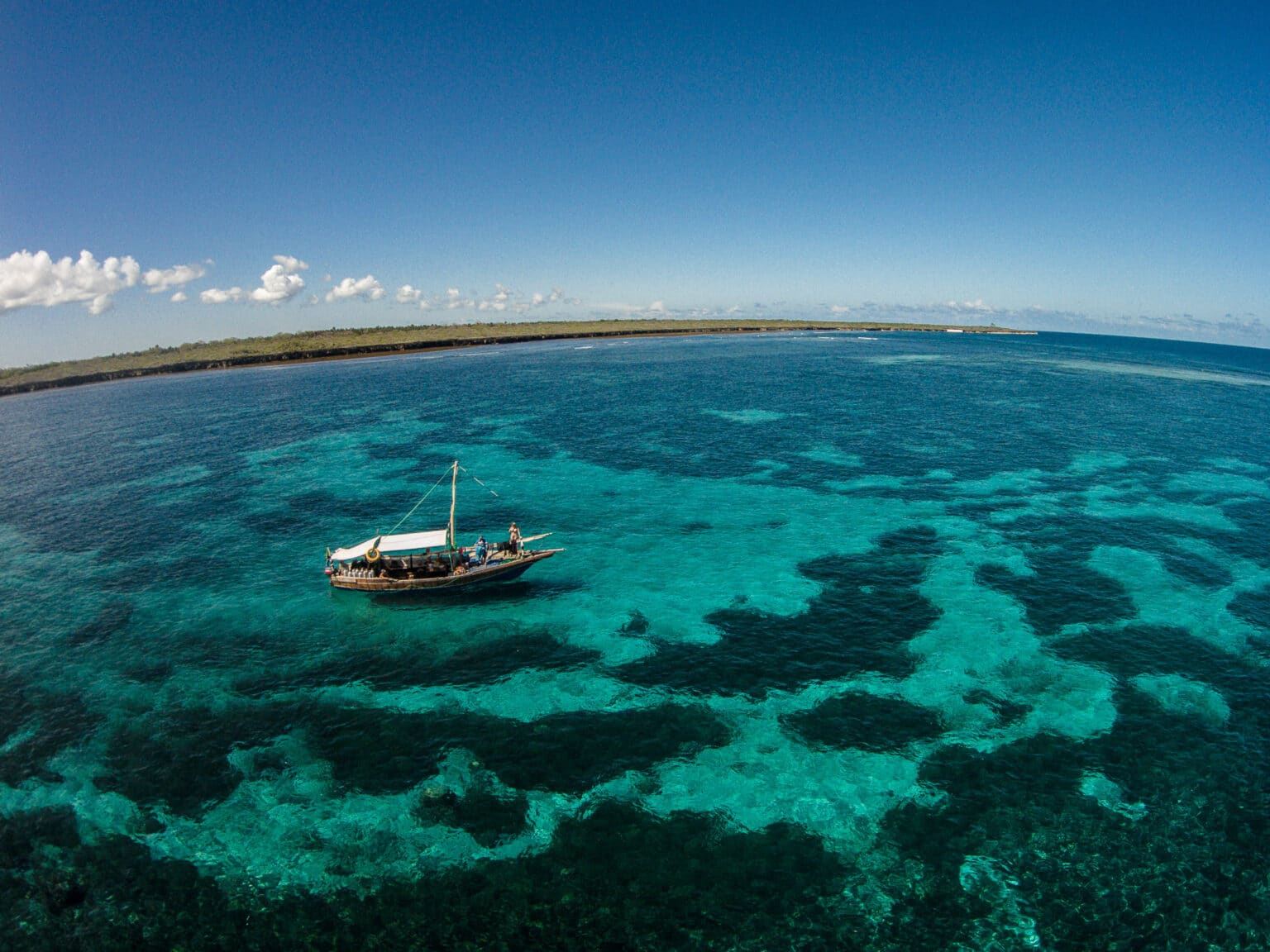 Top 15 best places to dive and snorkel with whale sharks